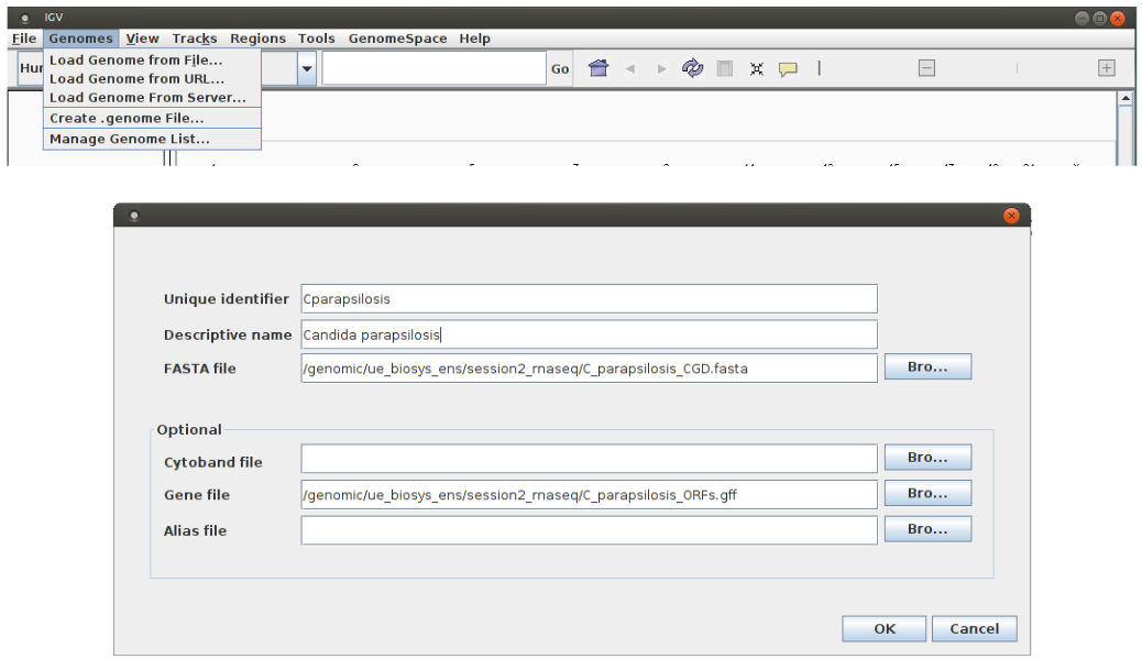 2 Rnaseq Functional Genomic Data Analysis Transcriptomics 2022