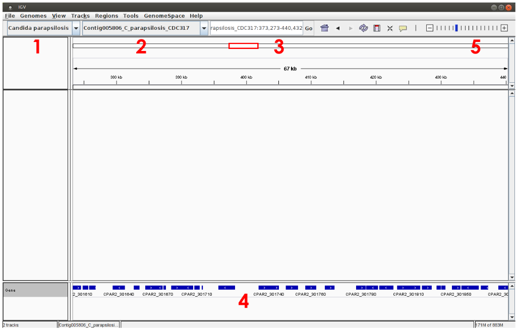 2. RNAseq - Functional genomic data analysis - transcriptomics 2022